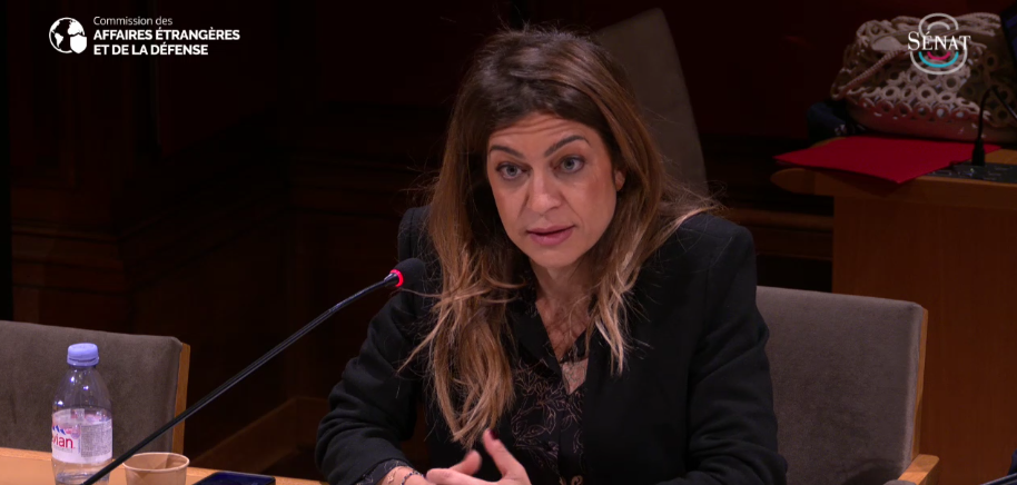 Sénat / TV5 Monde : Kim Younes Charbit détaille les 3 axes du plan ...
