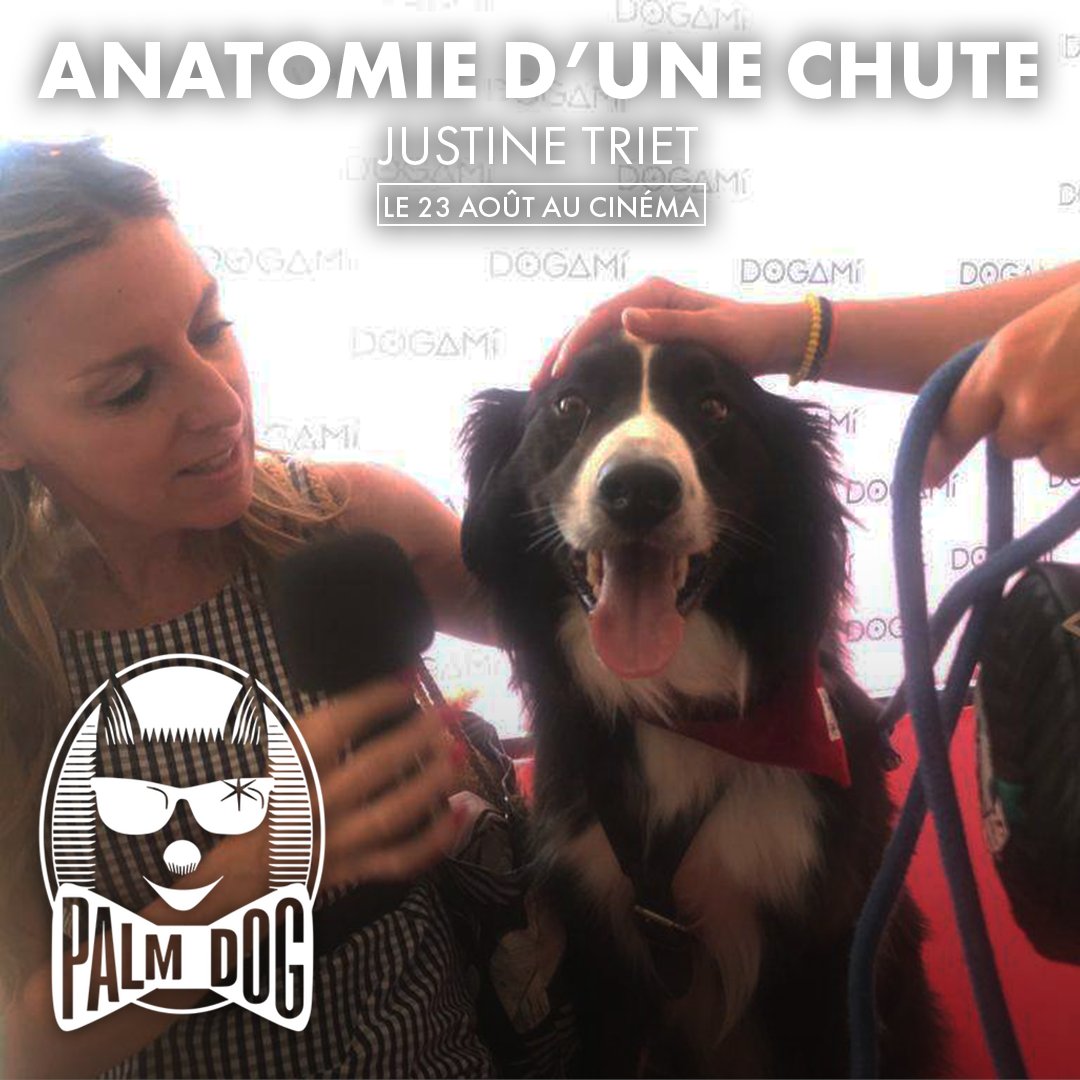 Cannes 2023 : la Palm Dog pour le chien d’« Anatomie d’une chute ...